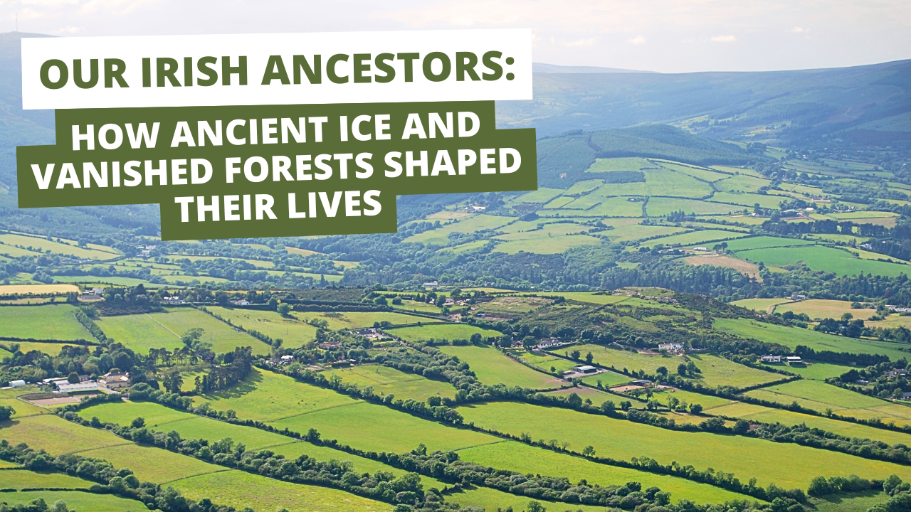 Our Irish Ancestors: How Ancient Ice and Vanished Forests Shaped Their ...